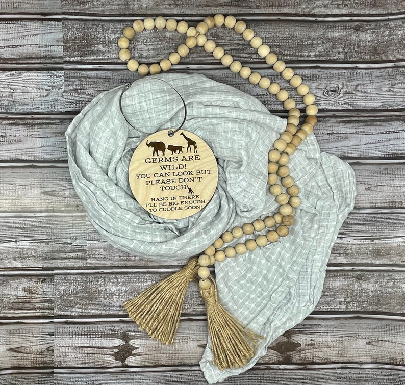 Car Seat Germ Sign/ Animal Baby Germ Sign/ Safari Theme Germs | Etsy