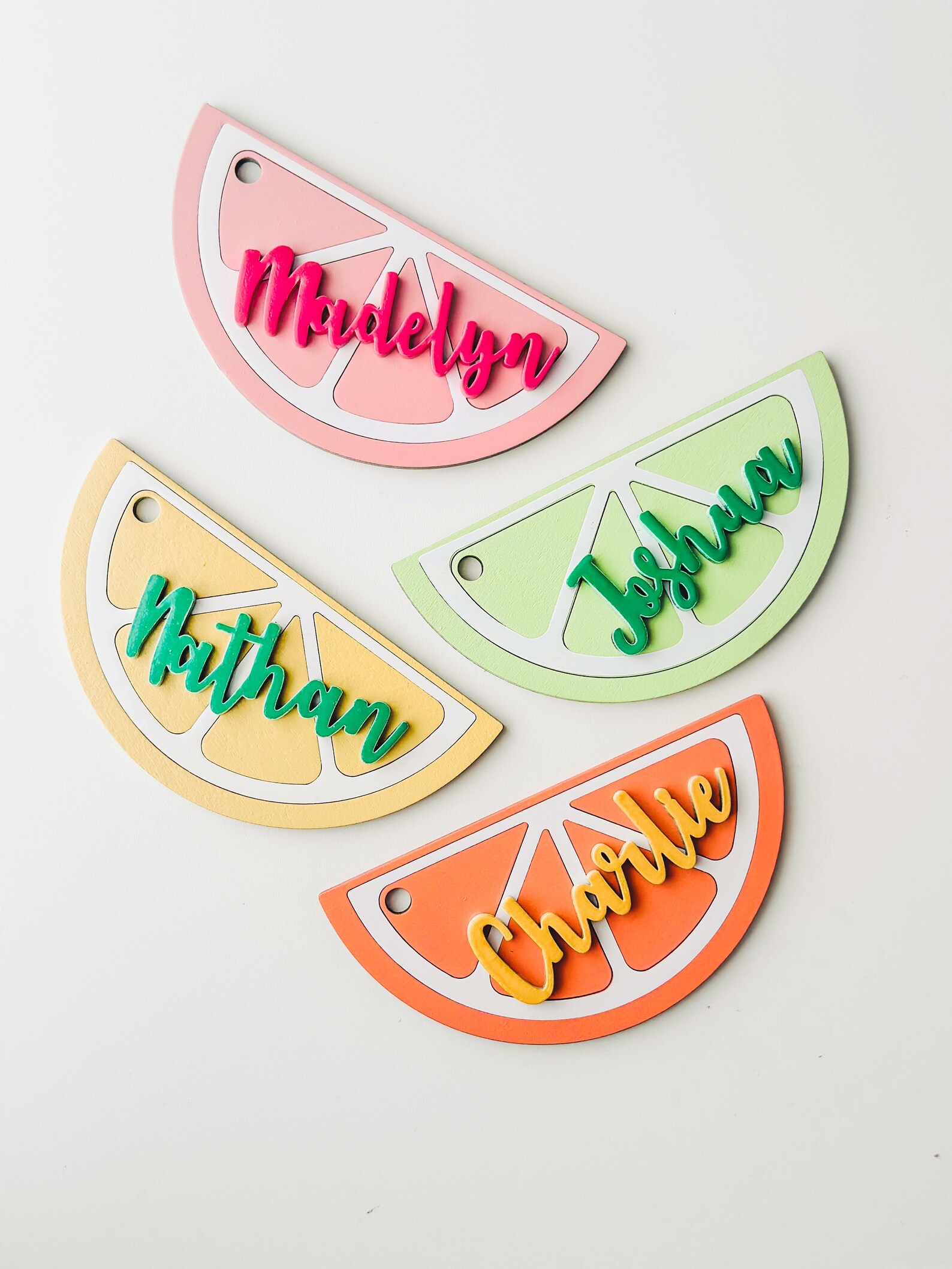 Fruit Slices Name Tags / Wooden Name Tags / Lemon Lime Name - Etsy