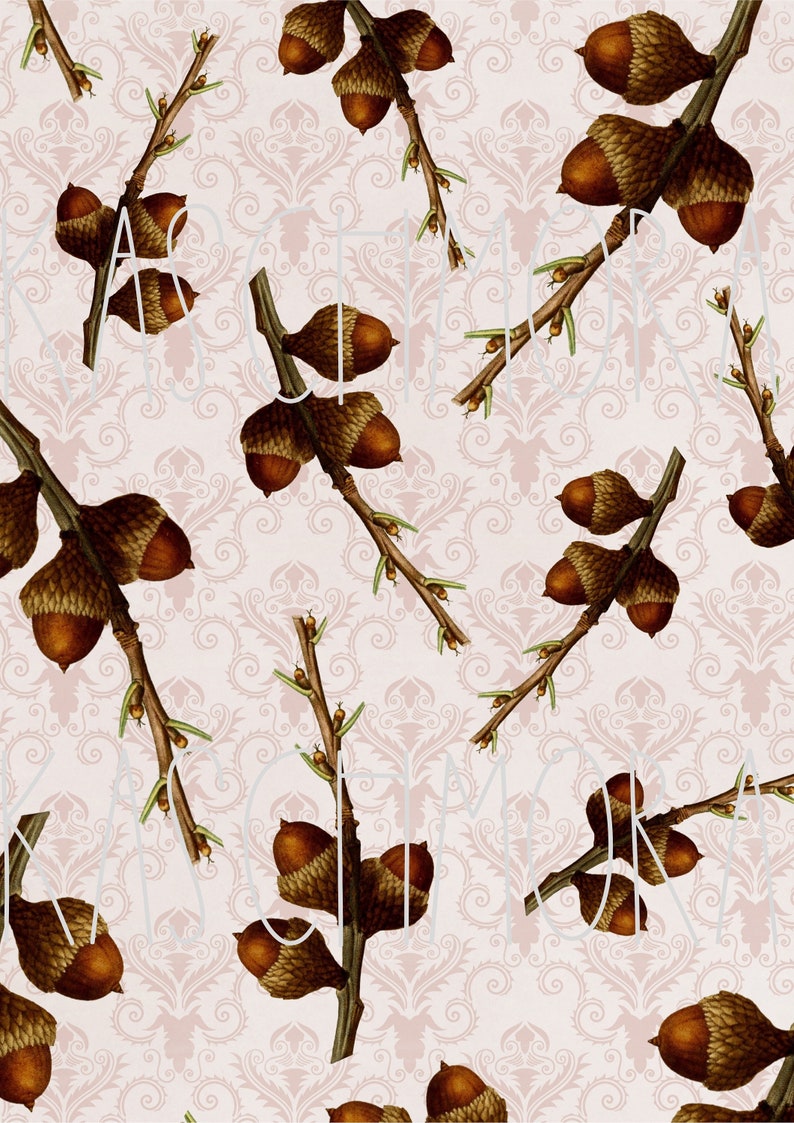 Background Paper, Digital Paper Pack, A4, Jpg, 8'' X 11'', Scrapbook ...