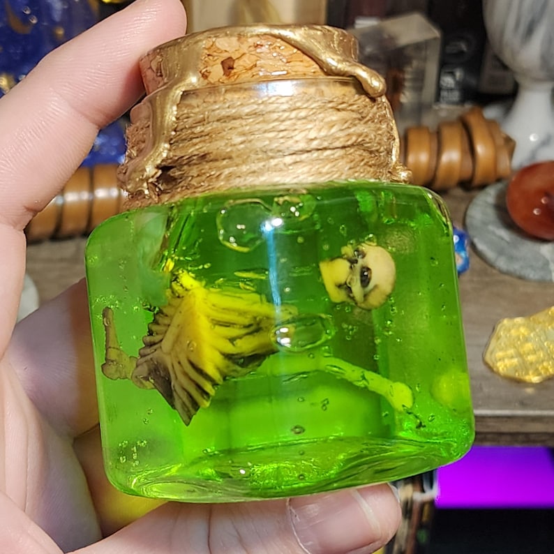 Gelatinous Cube in a Jar | Fantasy Potion Bottle | Dungeons and Dragons ...