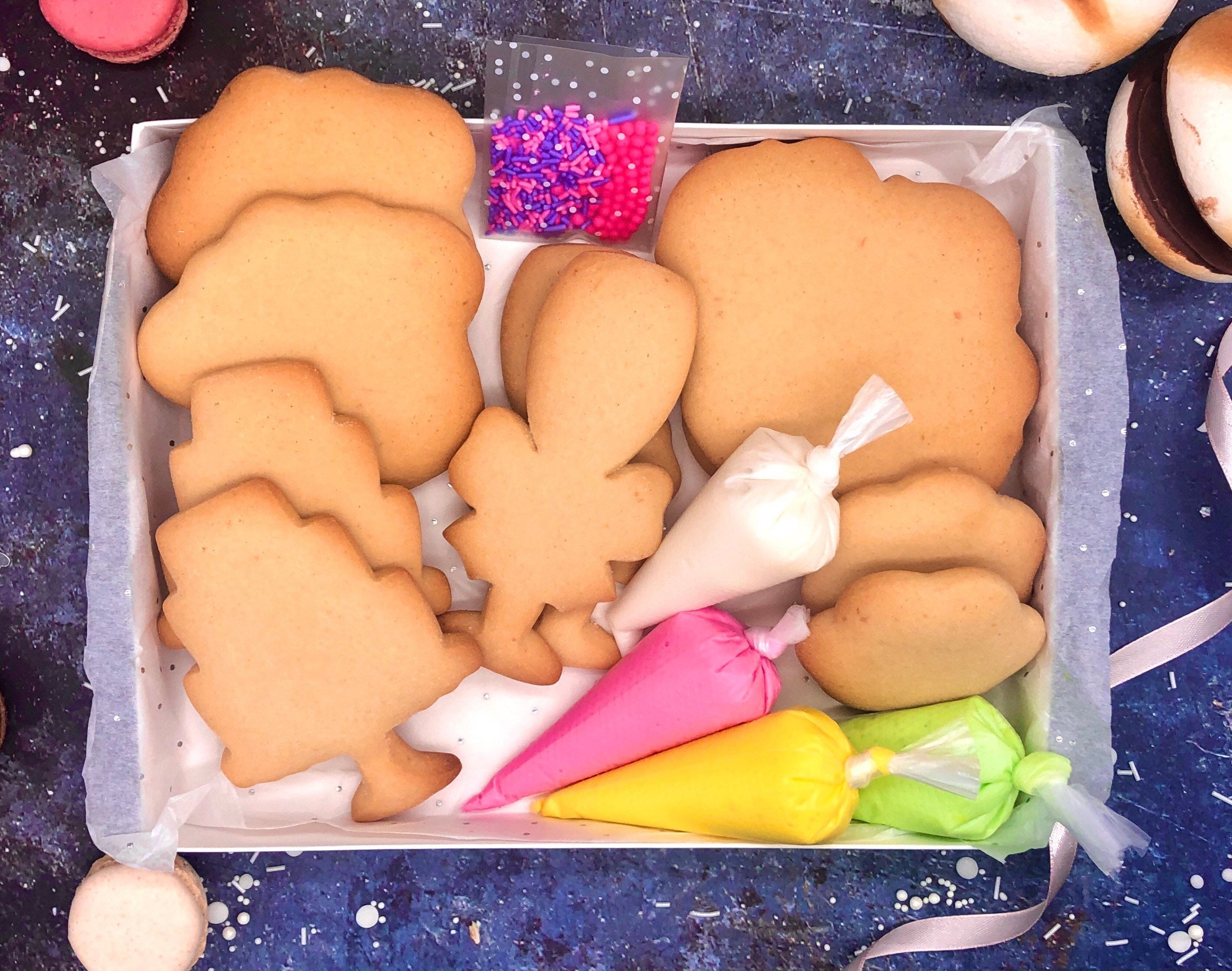 Decora tu propio kit de galletas cumpleaños, set de primavera - Etsy España