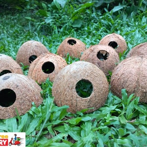 Fish Cave Aquarium Coconut Shell 03set / Hide Betta Cave - Etsy