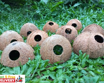 Coconut Hide - Etsy