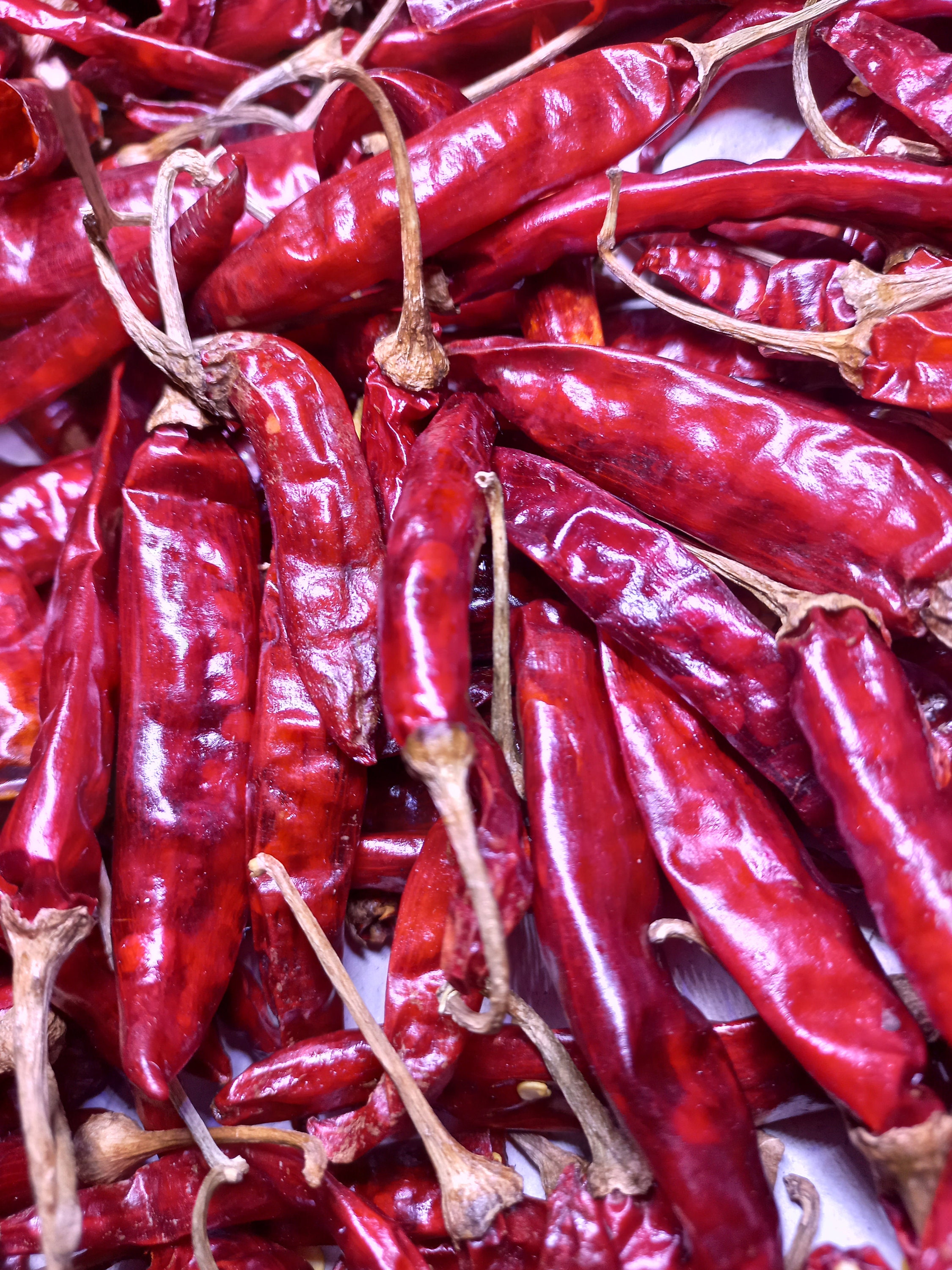 Chili ORGANIC RED Whole Dried Chillies Worlds Best Pure Chilis Sunlight ...
