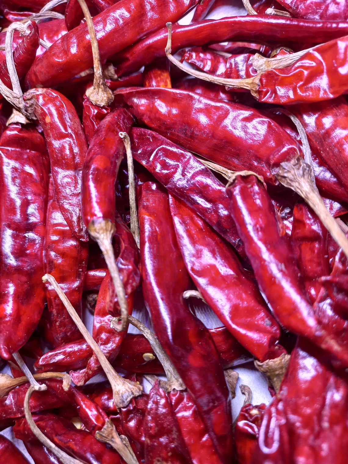 Chili ORGANIC RED Whole Dried Chillies Worlds Best Pure Chilis Sunlight ...