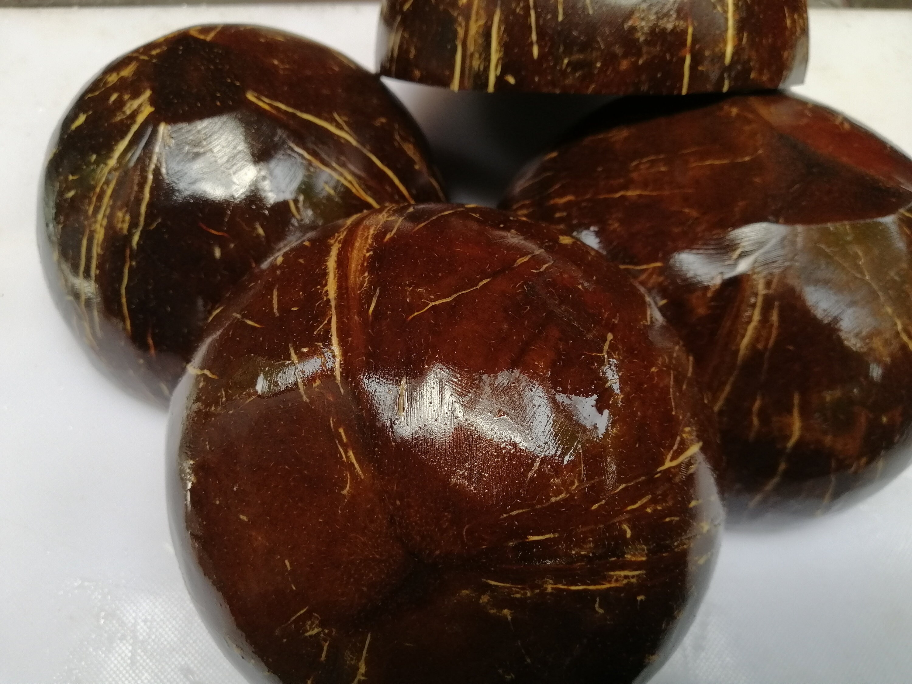 Aquarium Coconut Shell Cave Pleco Cave Cichlid Cave Betta | Etsy