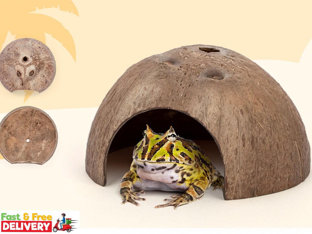Coconut Hut for Small Reptiles, Aquarium Cave Lizards, Geckos, Frogs ...