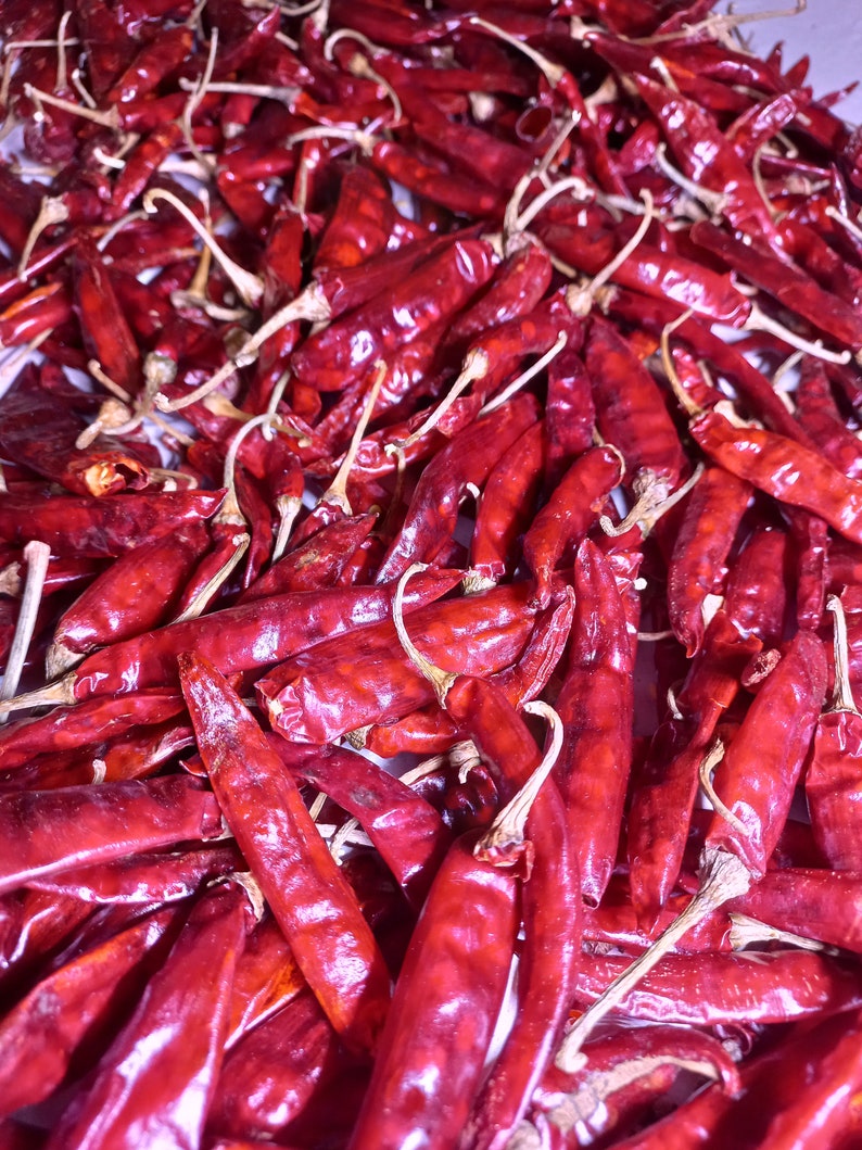 Chili ORGANIC RED Whole Dried Chillies Worlds Best Pure Chilis Sunlight ...
