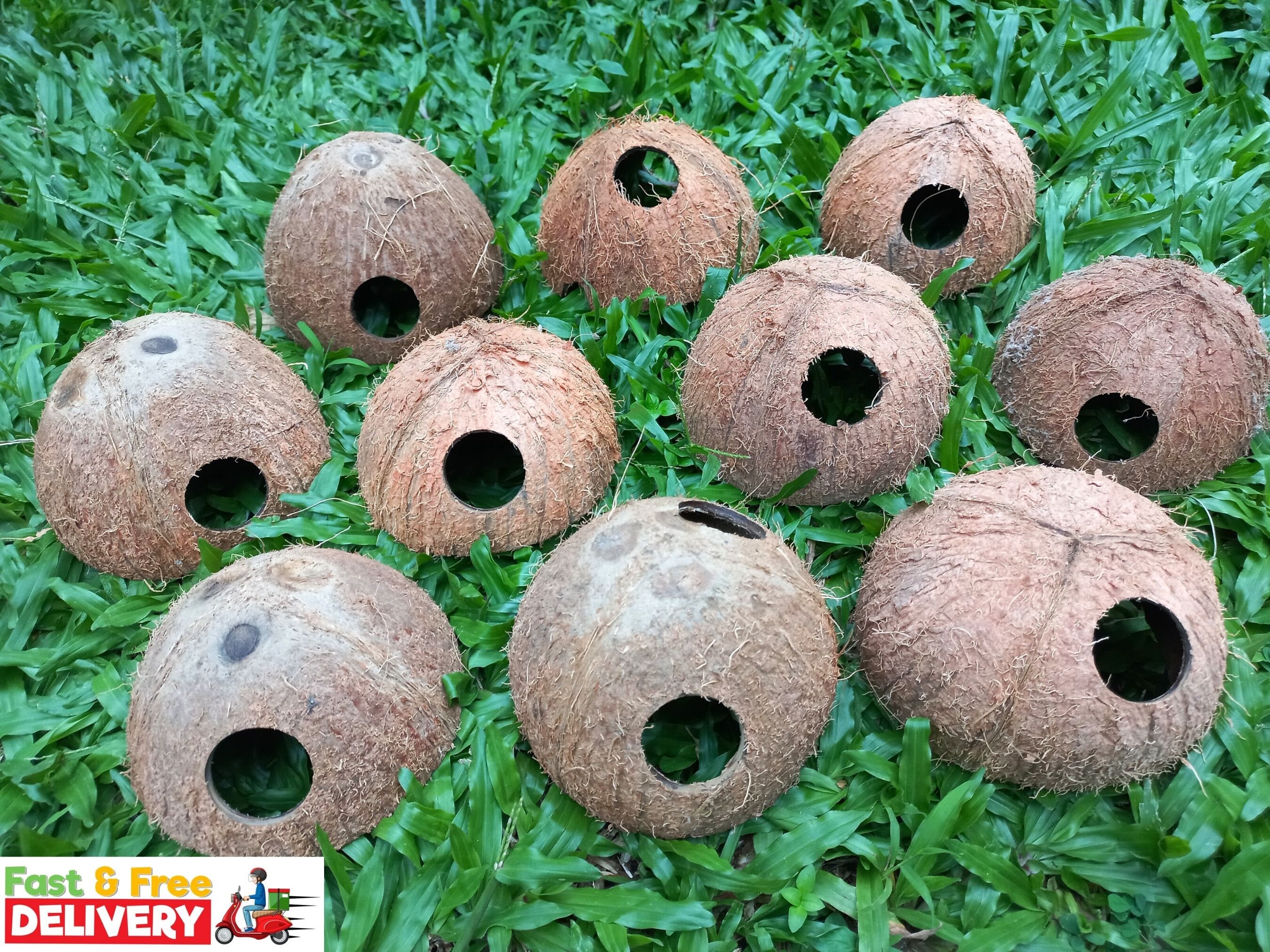 Fish Cave Aquarium Coconut Shell 03set / Hide, Betta Cave, Pleco Cave ...