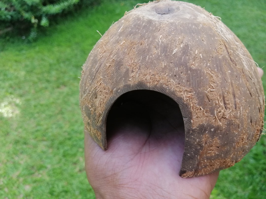 Aquarium Coconut Shell Cave Pleco Cave, Cichlid, Betta Fish Cave ...