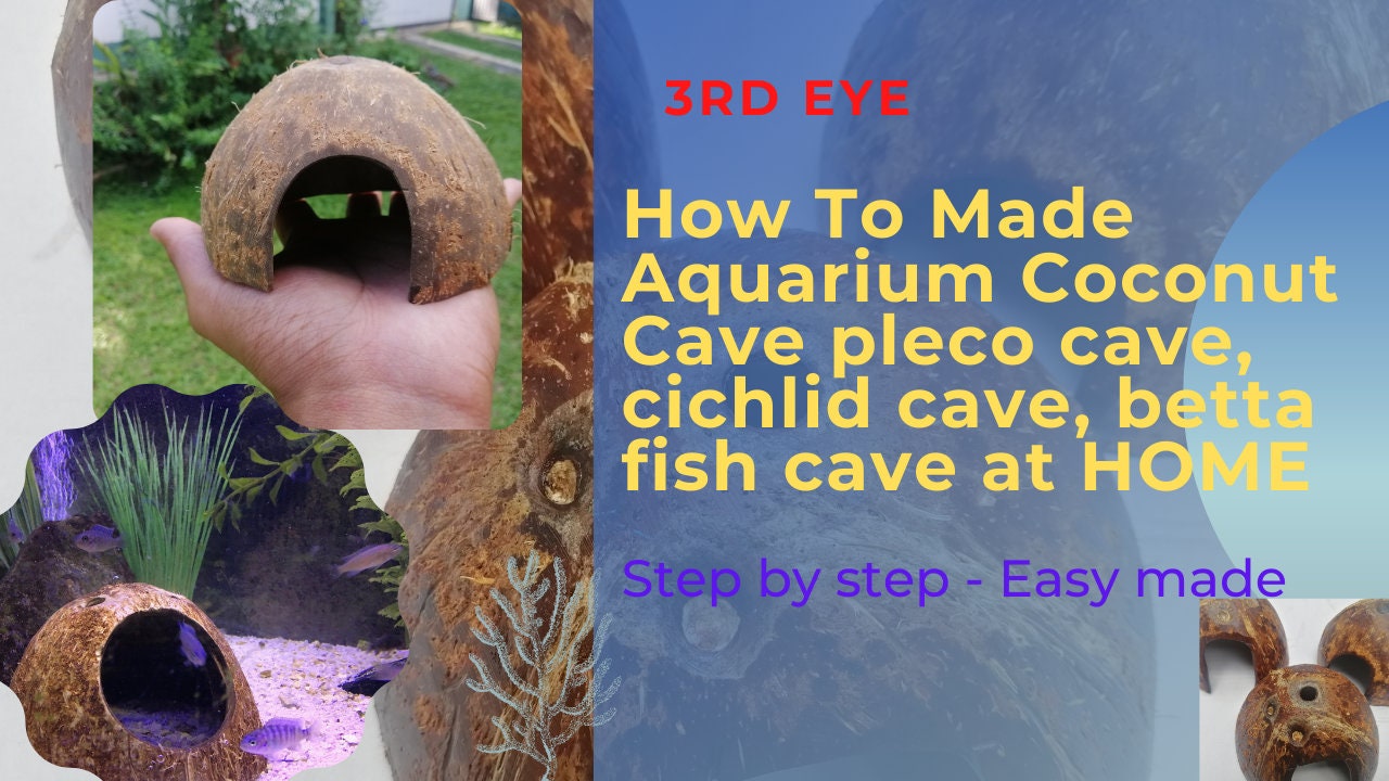 Aquarium Coconut Shell Cave Pleco Cave Cichlid Cave Betta | Etsy