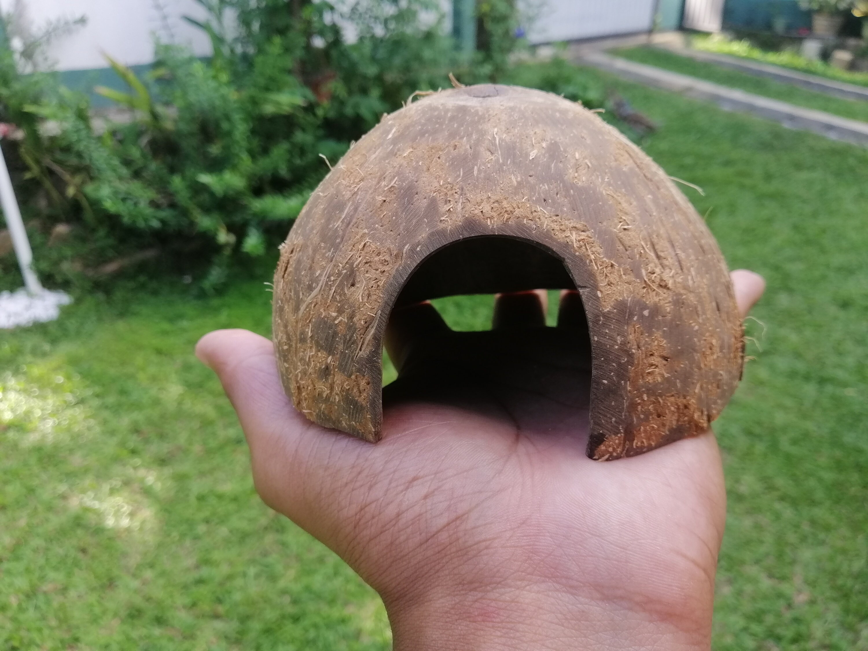 Aquarium Coconut Shell Cave Pleco Cave Cichlid Cave Betta | Etsy