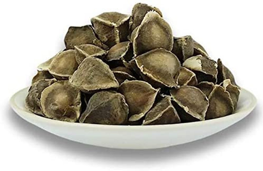 100+ Moringa Seeds 1 Oz Drumstick Tree (moringa Oleifera) - Etsy