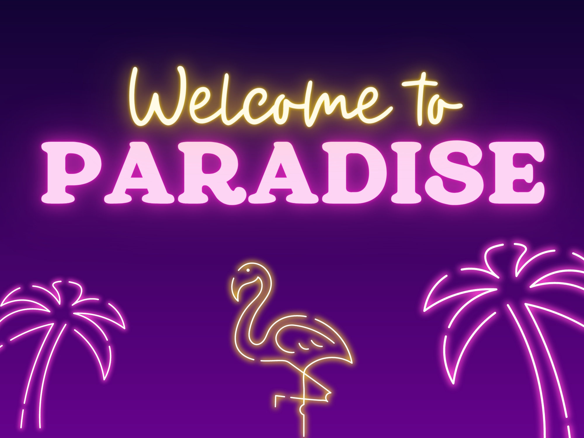 Neon Sign Script Font Monoline Script Signature Script Font Summer ...