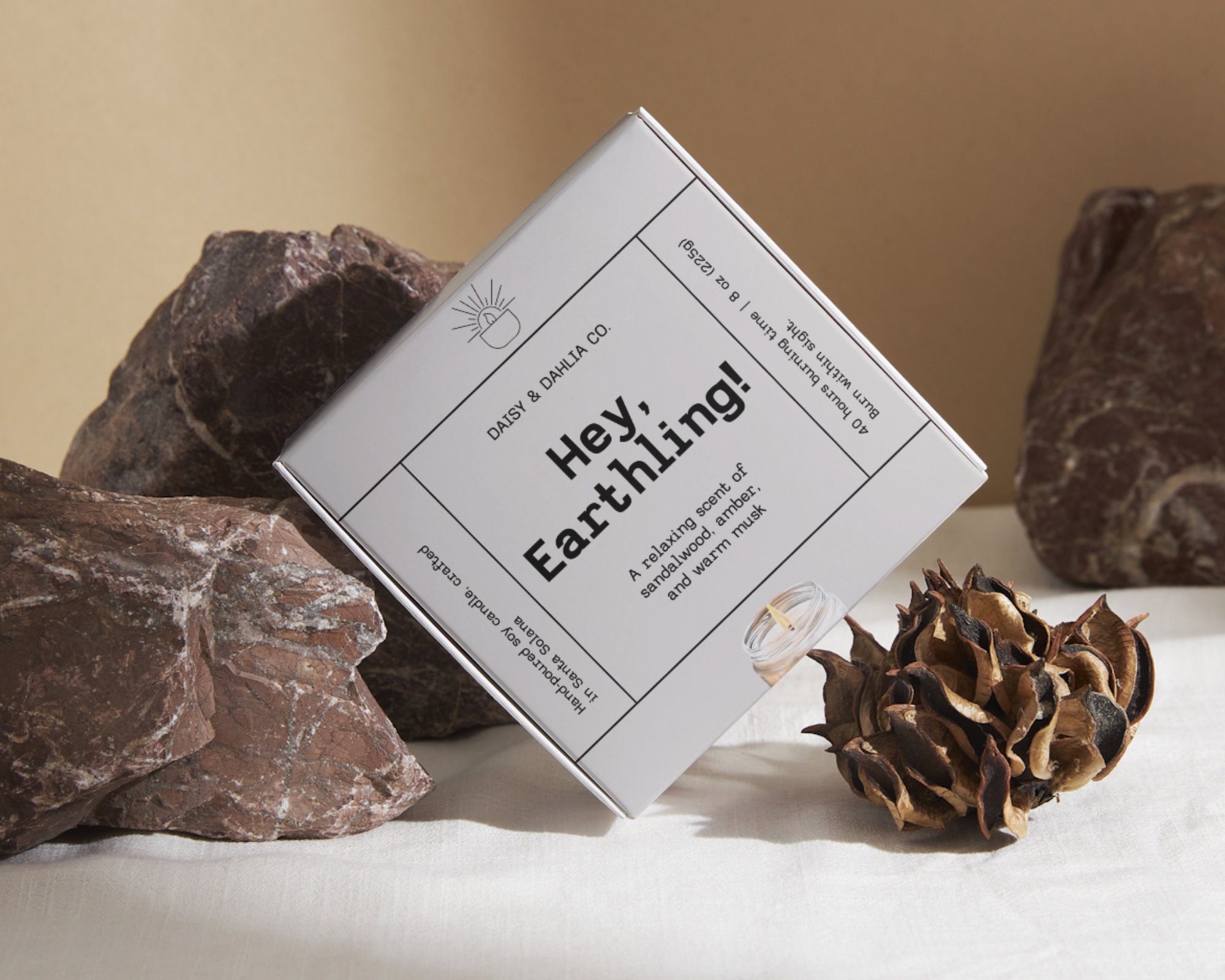 Typewriter Minimal Font Vintage Stamp Font Editorial Monospace - Etsy