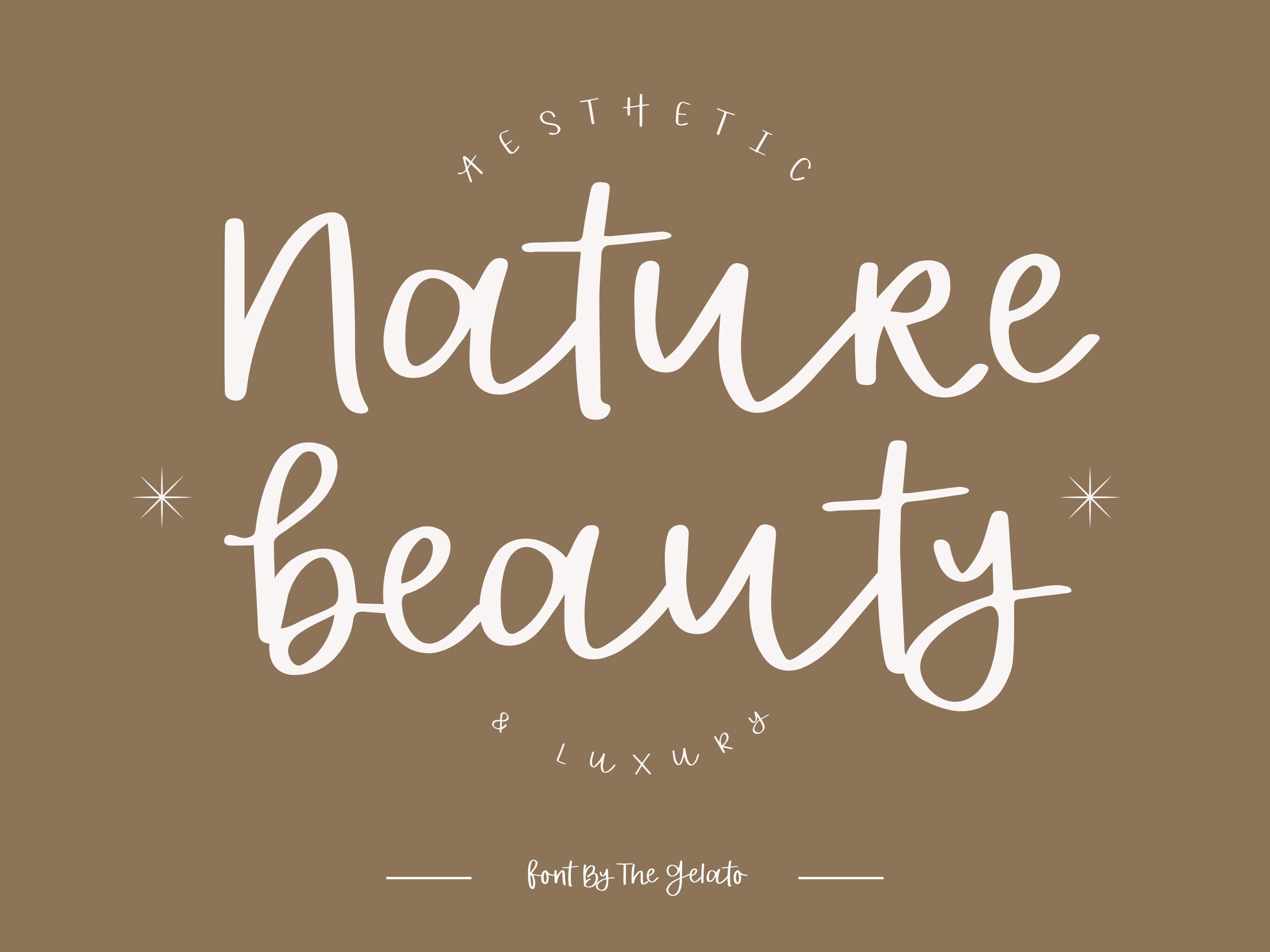 Thick Script Font Script Calligraphy Font Casual Handwritten Script ...