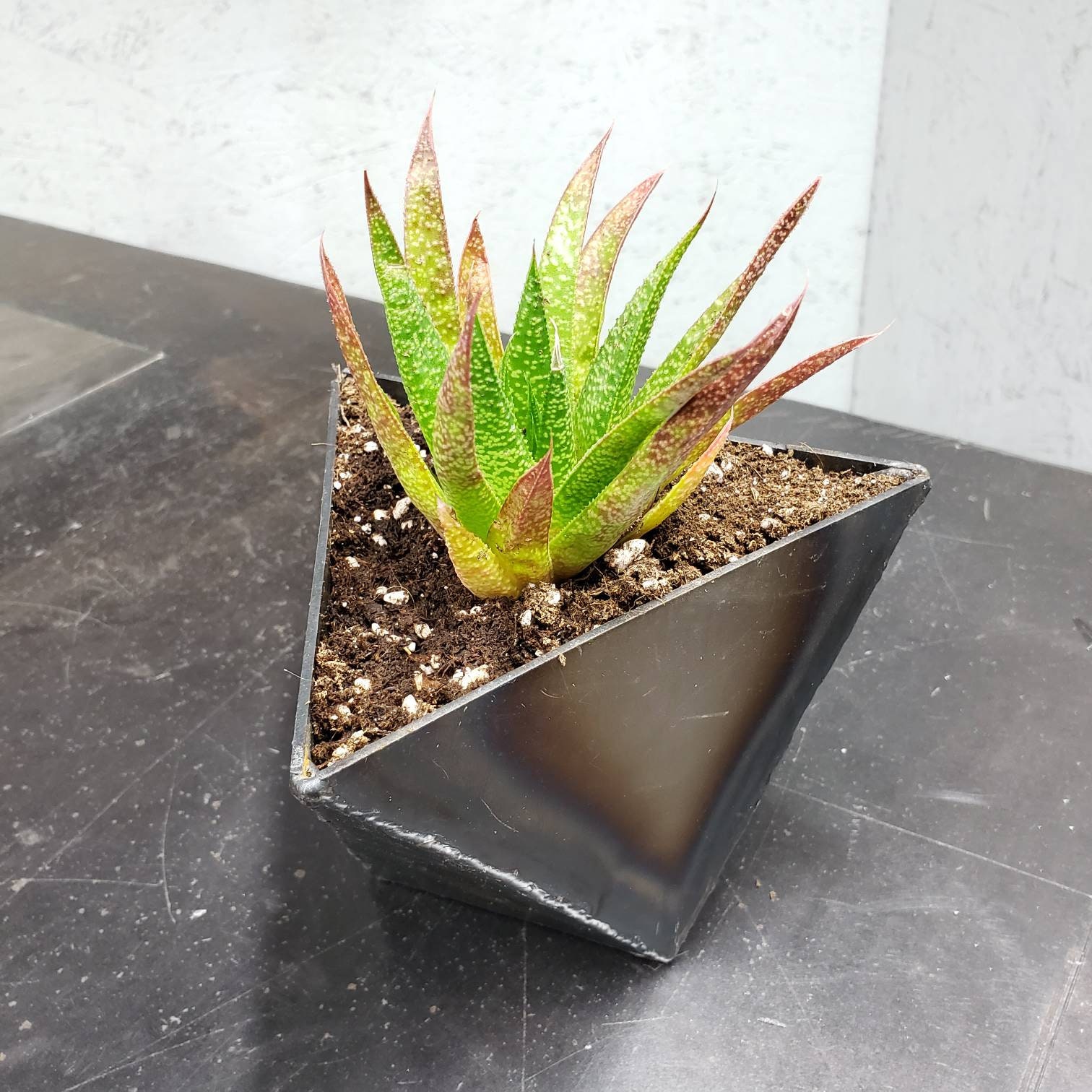 DIY Metal Succulent Planter Welding Kit // Welding Practice Kit // DIY ...