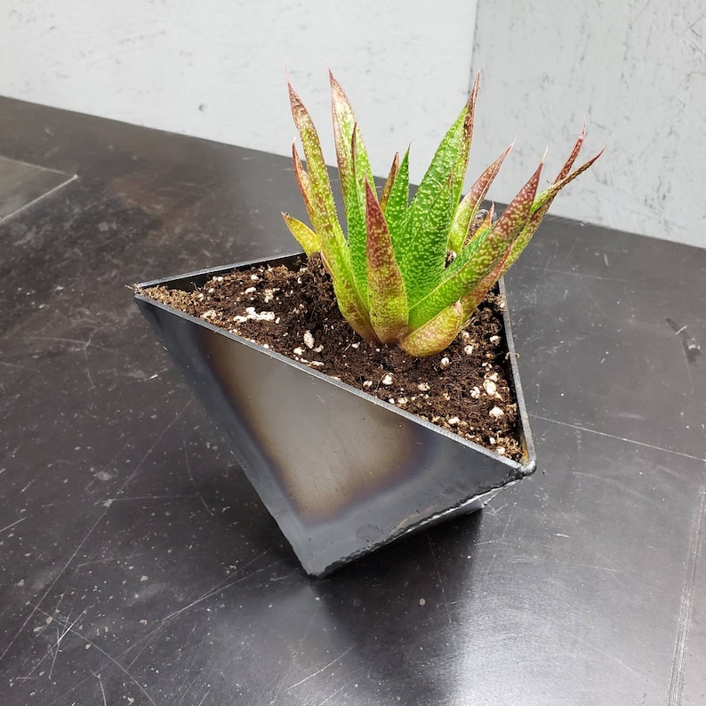 DIY Metal Succulent Planter Welding Kit // Welding Practice Kit // DIY ...