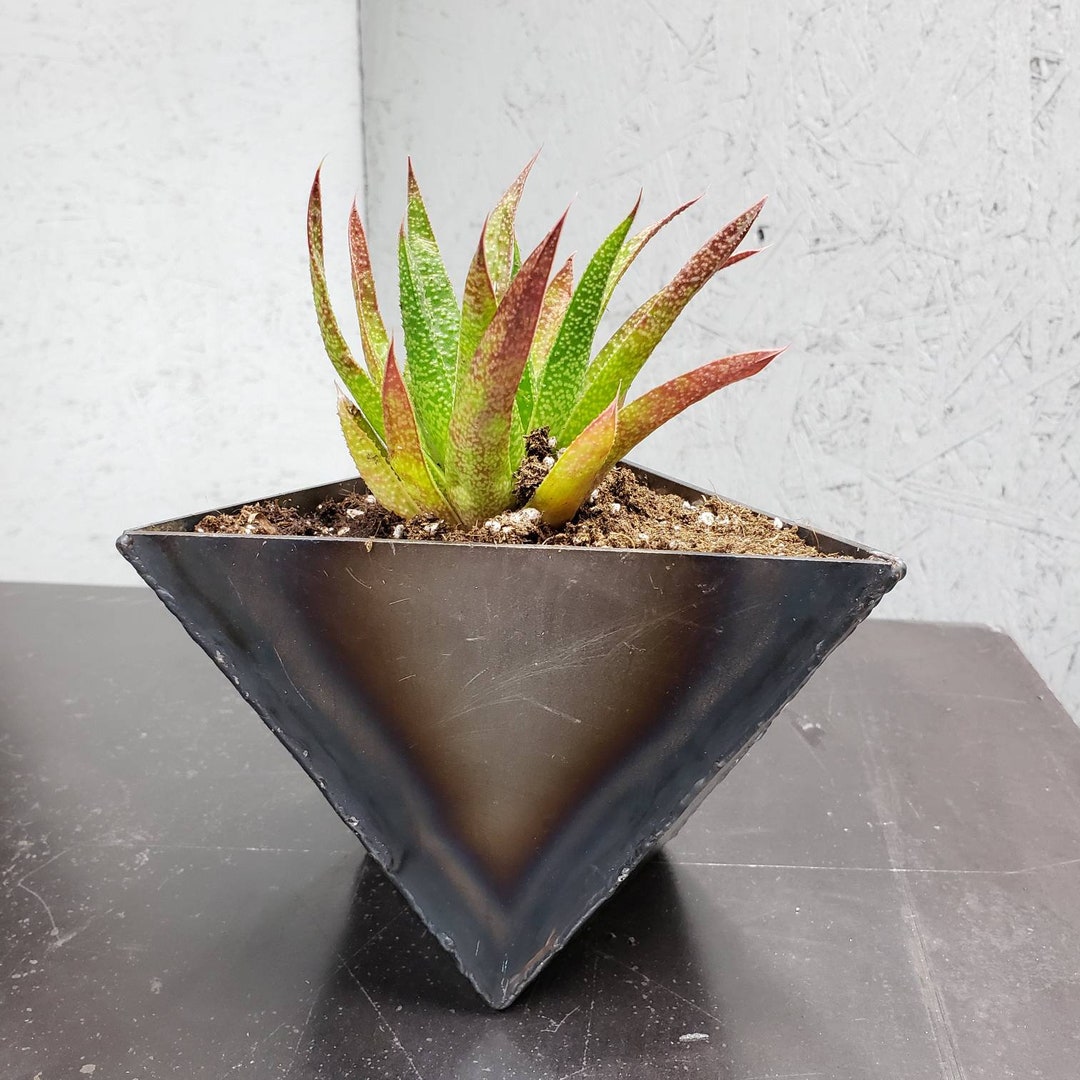 DIY Metal Succulent Planter Welding Kit // Welding Practice Kit // DIY ...