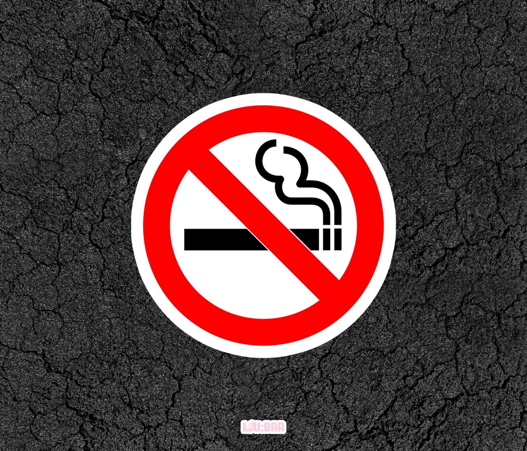 No Smoking Sticker - Car Sticker to Put on Your Car's Window, Bumper or ...
