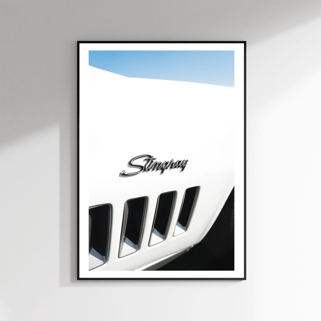 Corvette Stingray Crest - Car Digital Print Download - Real Close-up ...
