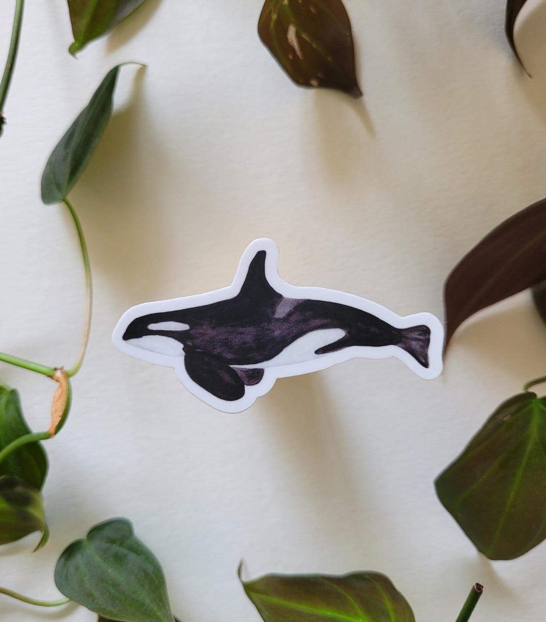 Orca Sticker | Watercolor Orca | Orca | Wildlife Sticker | Ocean ...