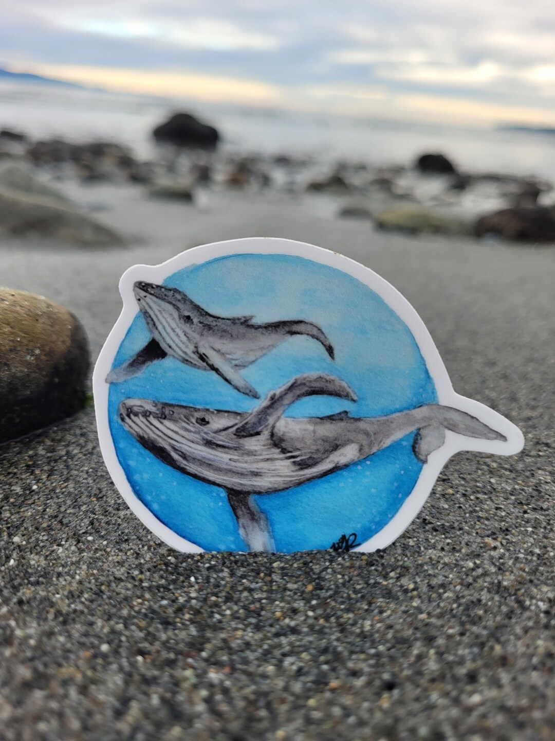 Humpback Whale Sticker | Whale Sticker | Nature Sticker | Ocean Sticker ...