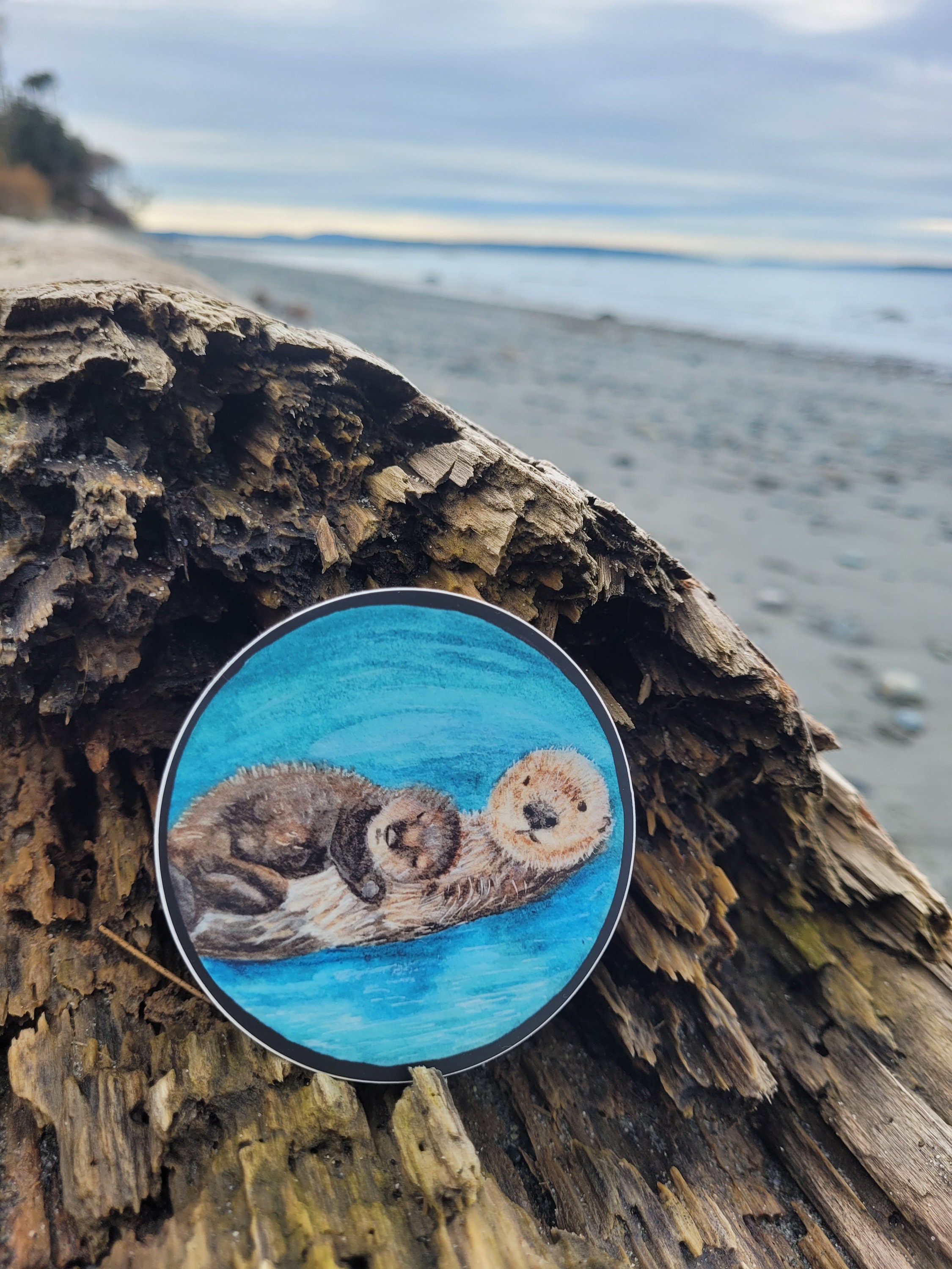 Watercolor Sea Otter Sticker | Otter Sticker | Nature Sticker ...