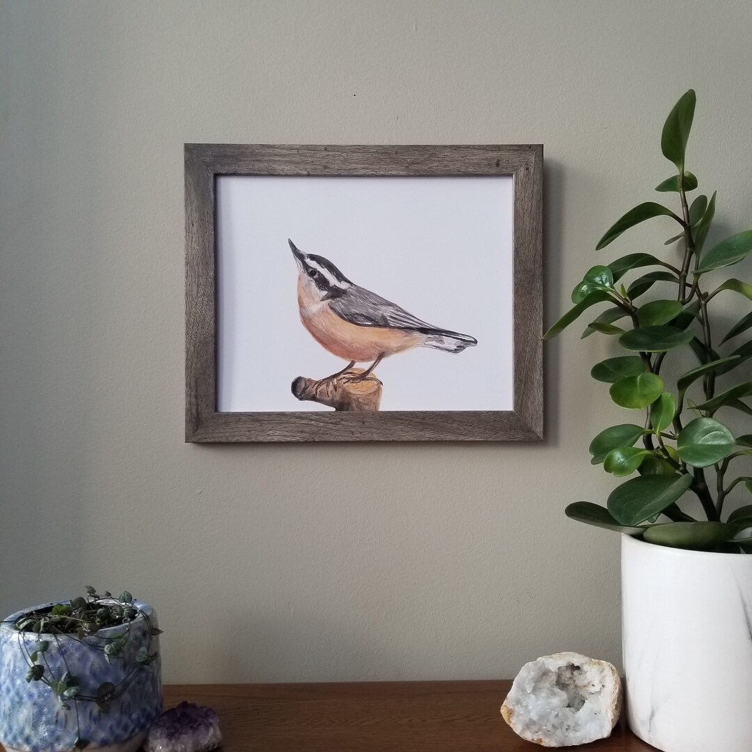 Red Breasted Nuthatch Watercolor Print | Nuthatch Art | Bird Print ...
