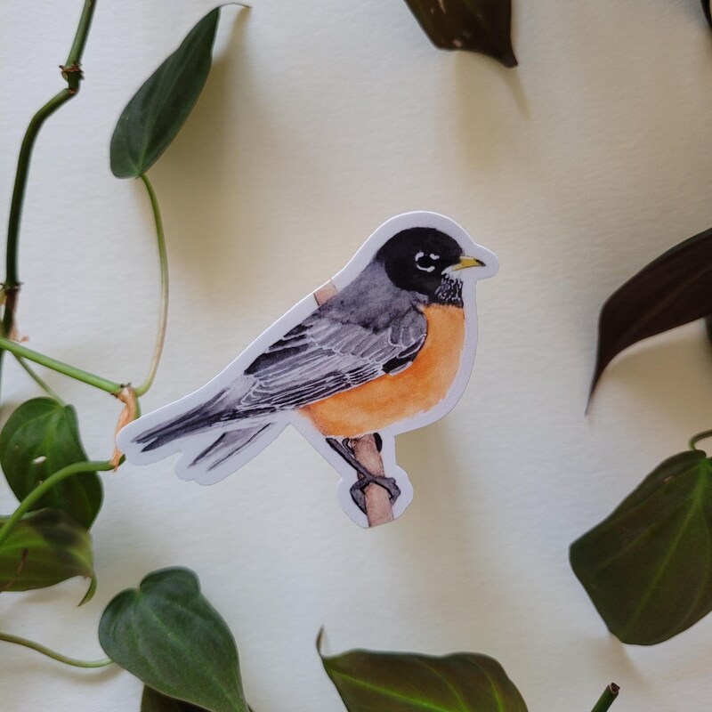 Robin Decal - Etsy