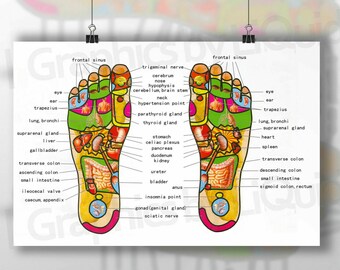 Reflexology Poster - Etsy