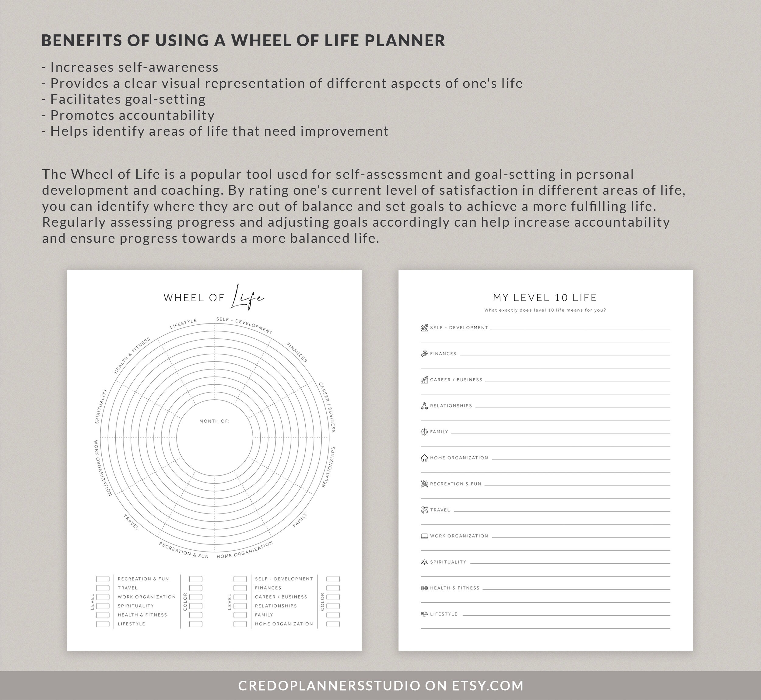 Wheel of Life Printable Planner Life Circle Self - Etsy Canada