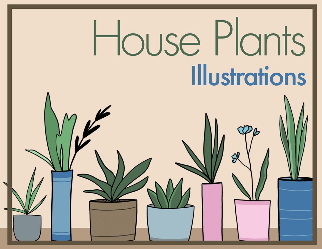Hand Drawn House Plants Clip - PNG Only - Digital Download - Etsy