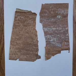 Birch Bark Strips - Etsy