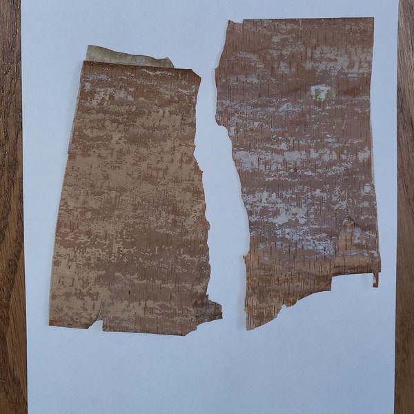 Birch Bark Sheets - Etsy