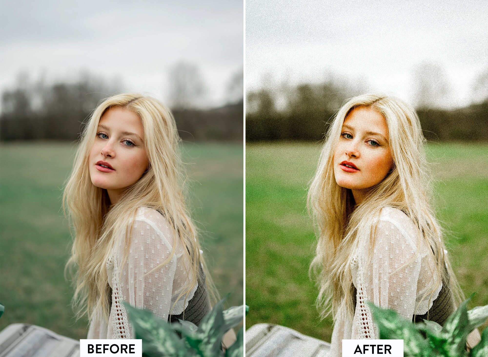 60 Film Look Lightroom Presets: Analog Retro Vintage Bundle (mobile ...