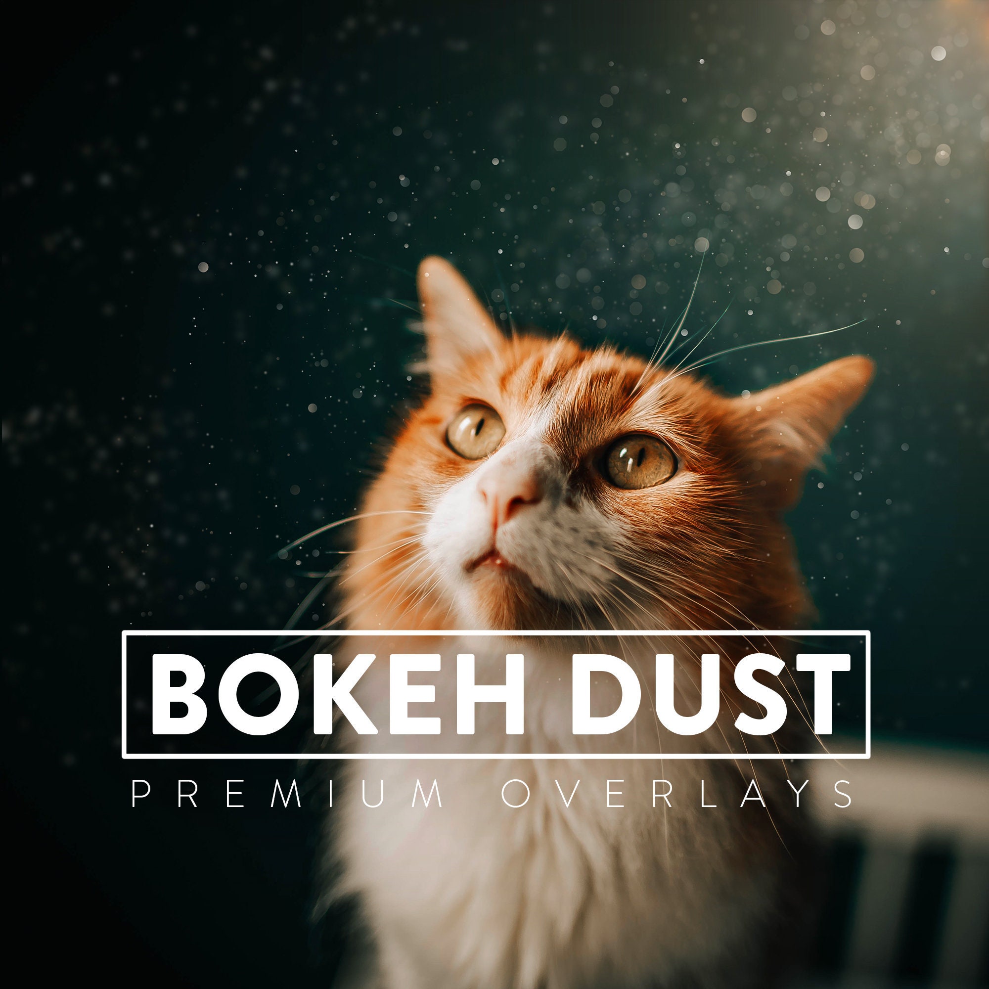 sunset overlays 150+ DUST OVERLAYS Dusty overlays glitter dust overlays ...