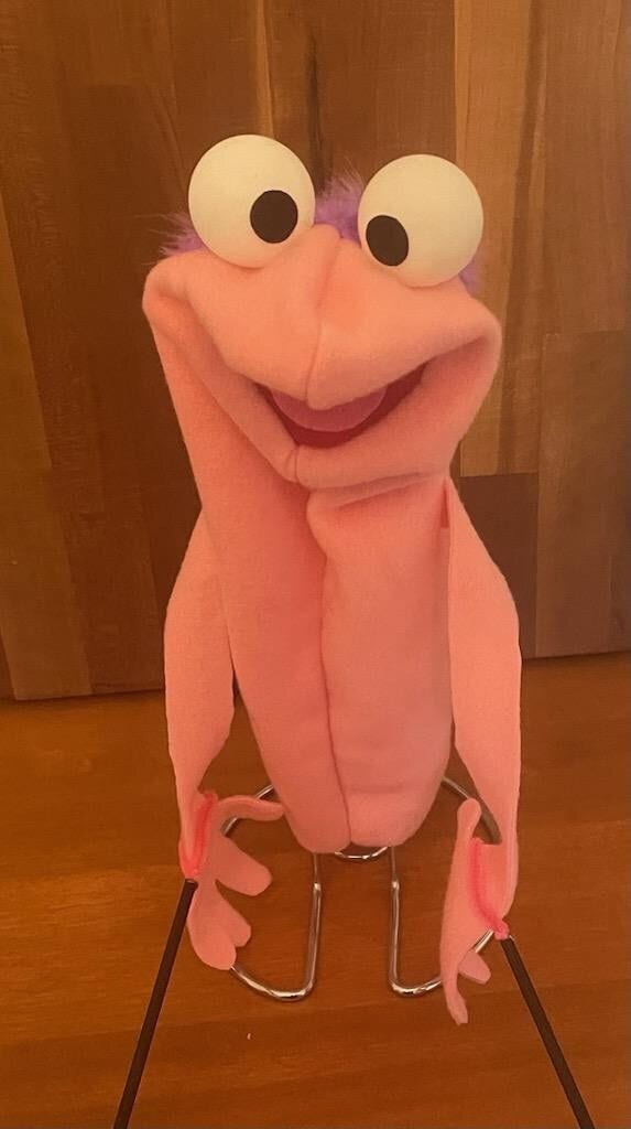 Custom Snoof Puppet - Etsy