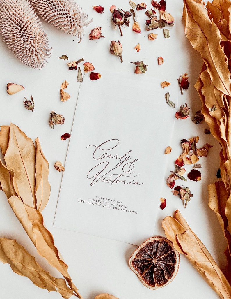 Modern Calligraphy / Eco Friendly Biodegradable Empty - Etsy