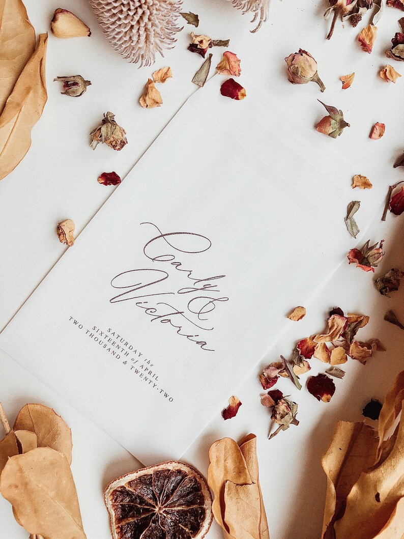 Modern Calligraphy / Eco Friendly Biodegradable Empty - Etsy