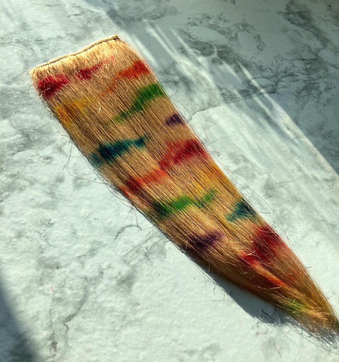 Rainbow Zebra Hair Extension - Etsy