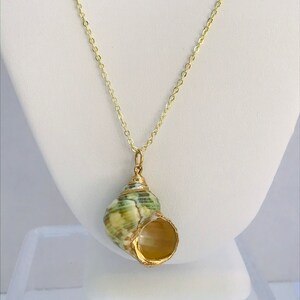Green Seashell Necklace - Green and White Seashell Pendant - Gold ...