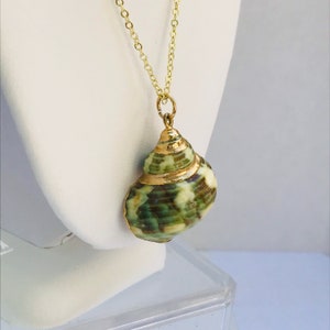 Green Seashell Necklace - Green and White Seashell Pendant - Gold ...