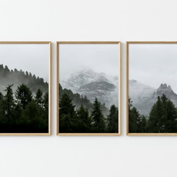 Beautiful Forest Poster - Etsy