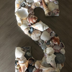 Monogram Seashell Decor - Etsy