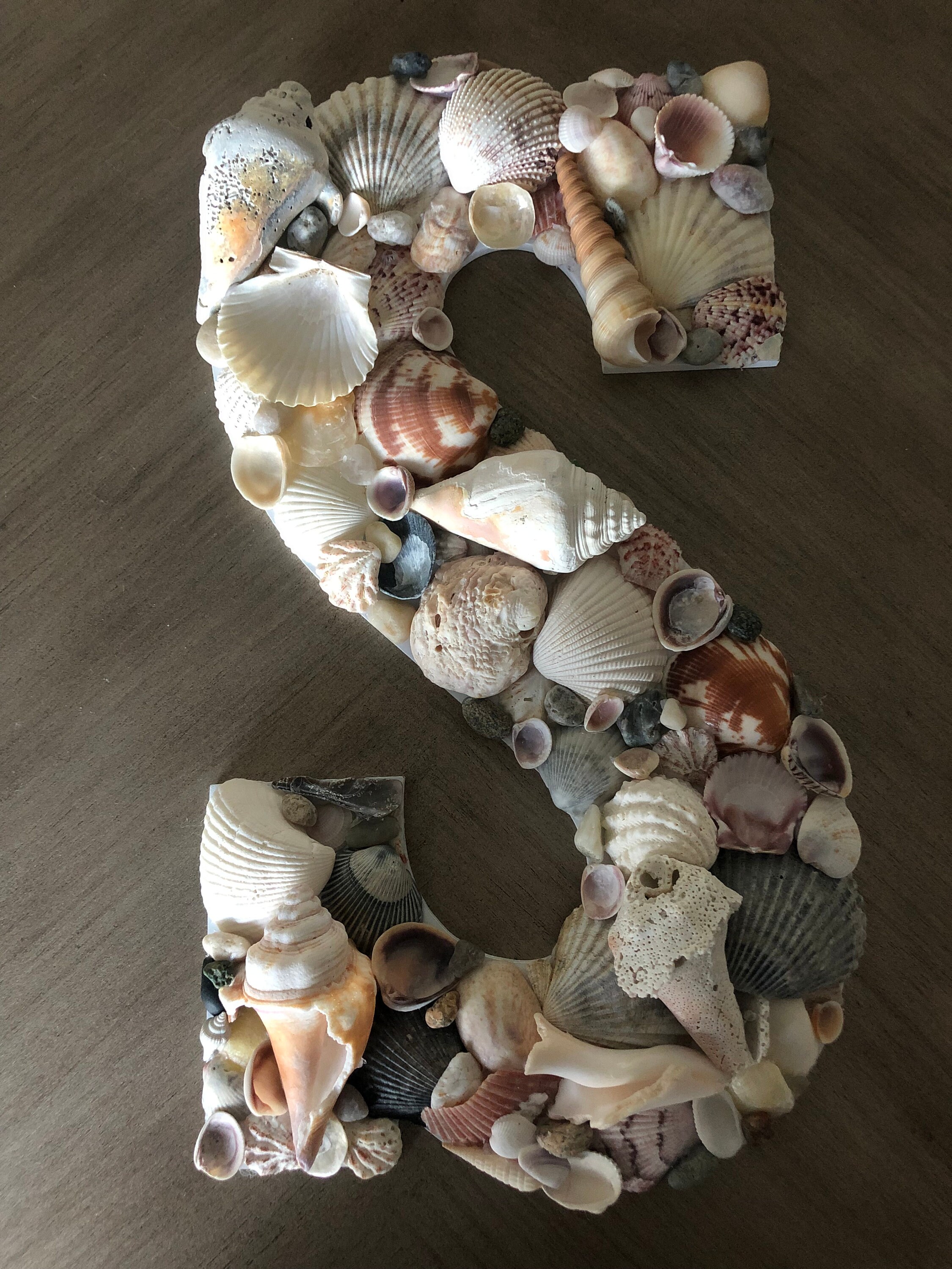 Monogram Seashell Decor - Etsy