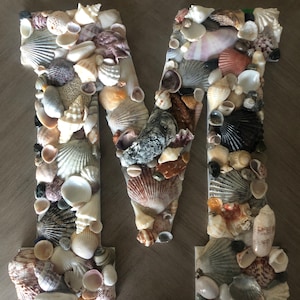 Monogram Seashell Decor - Etsy