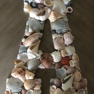 Monogram Seashell Decor - Etsy