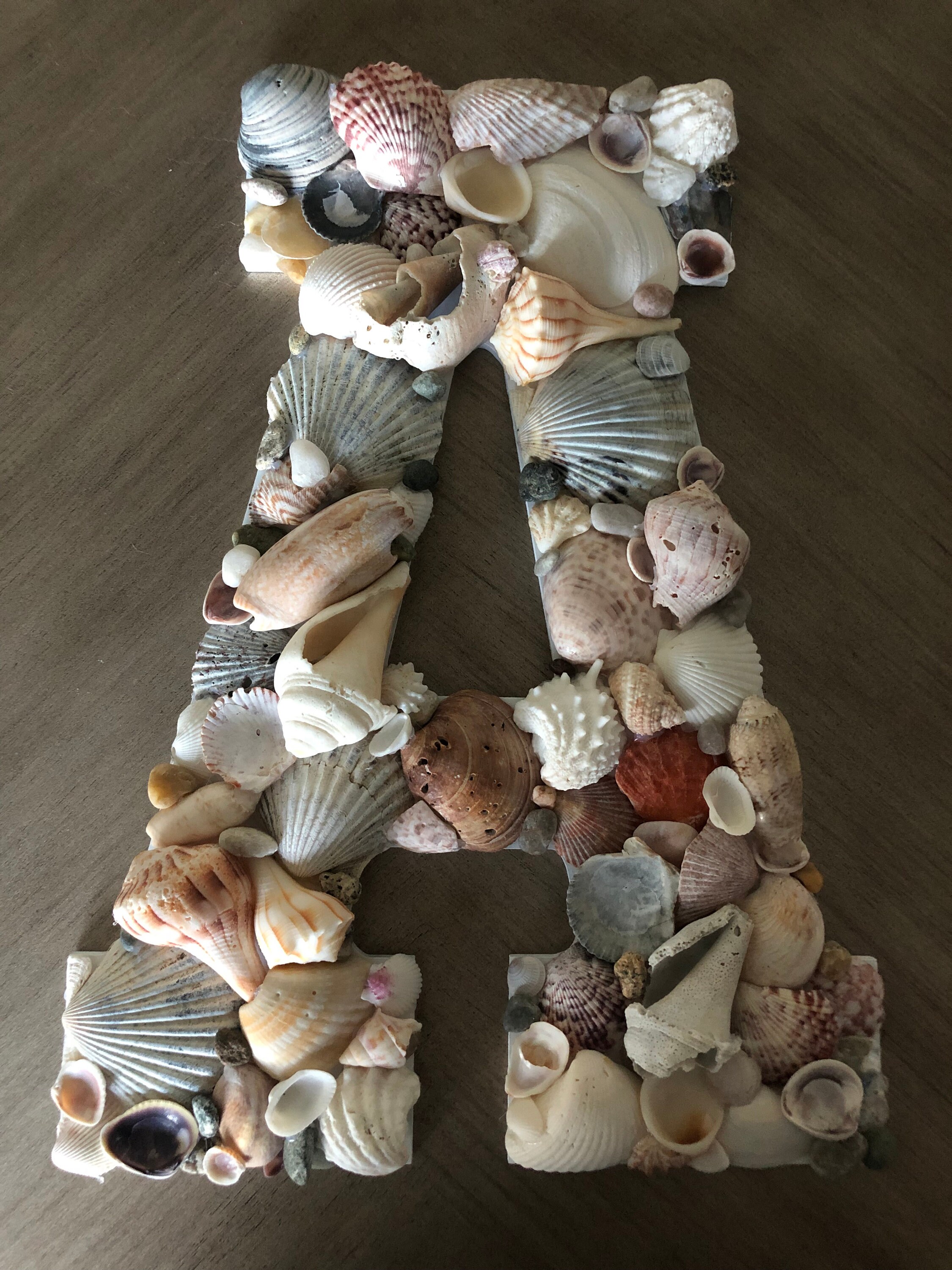 Monogram Seashell Decor - Etsy