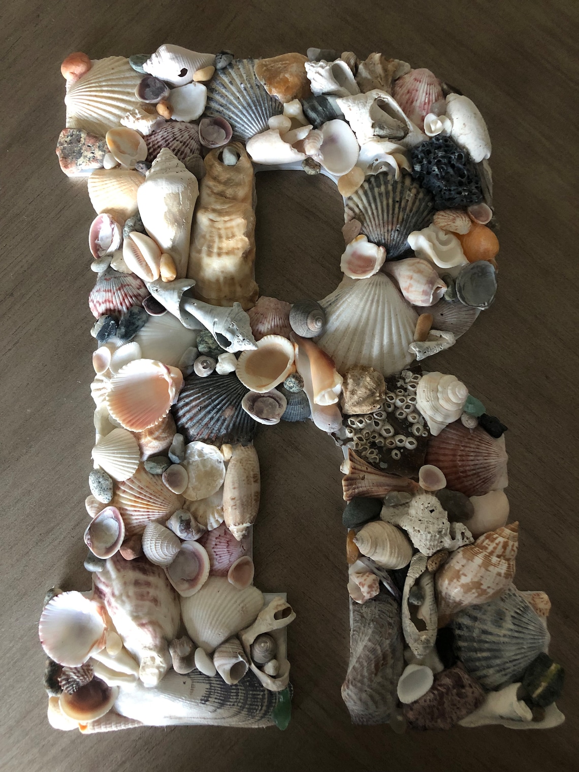 Monogram Seashell Decor - Etsy